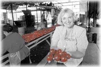 Timber Crest Farms | Bohemian | Sonoma & Napa Counties