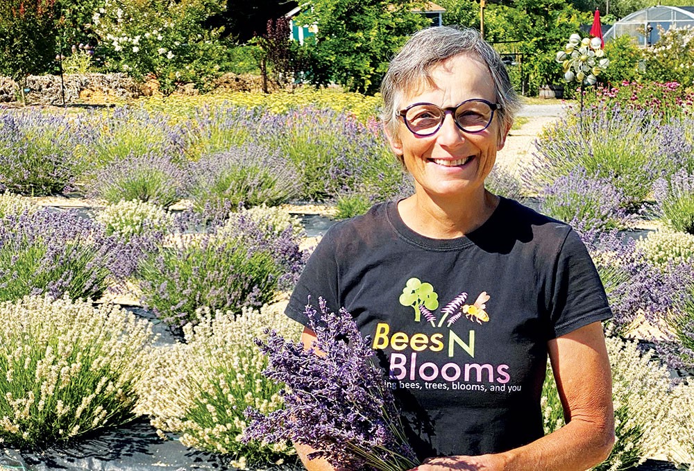 Lavender Labyrinth Serves As Sustainable Sanctuary For North Bay ...